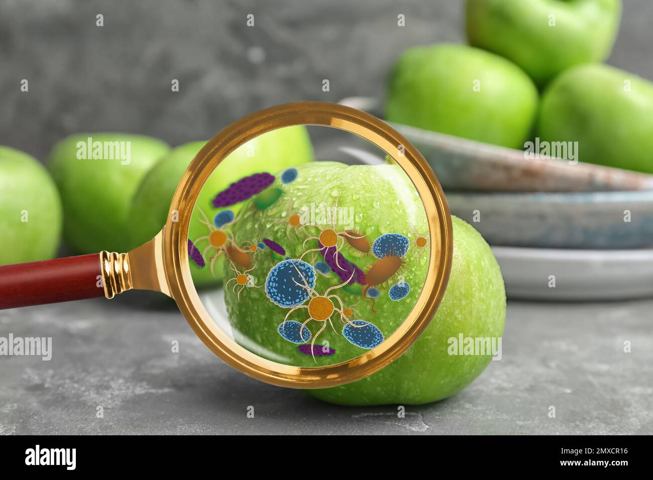 Magnifying glass and illustration of microbes on apple. Food poisoning ...