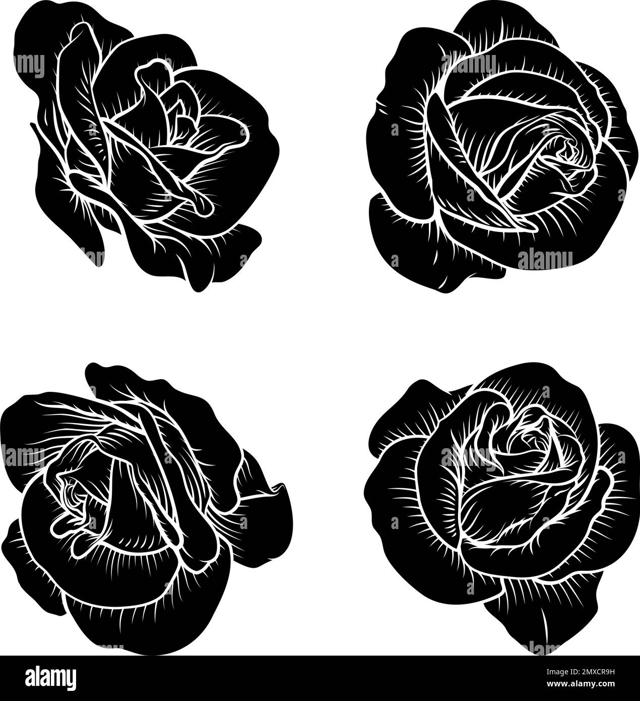 Set of Roses Rose Flowers in Vintage Woodcut Style Stock Vector Image ...
