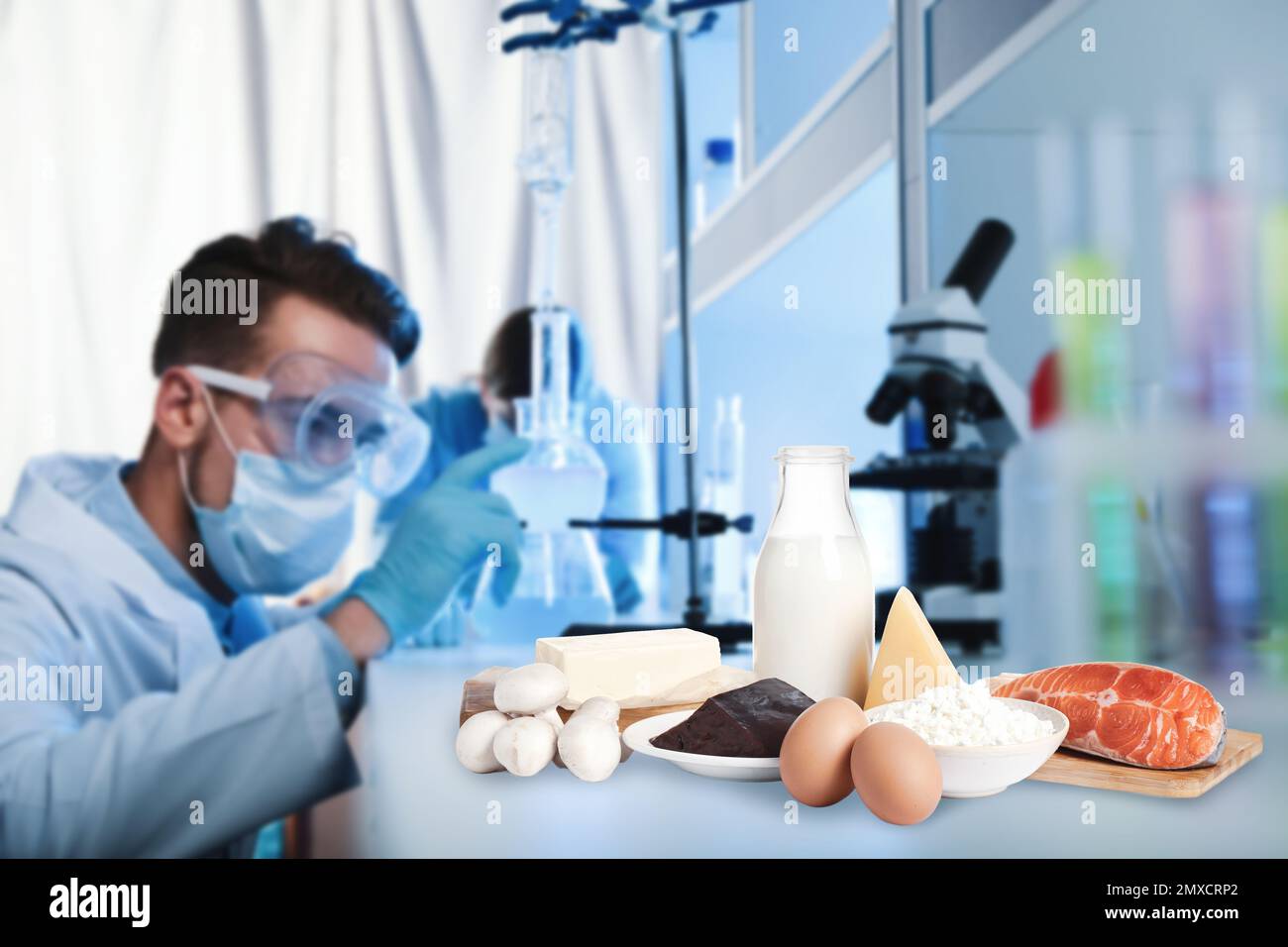 Scientist inspecting products in laboratory. Food quality control Stock ...
