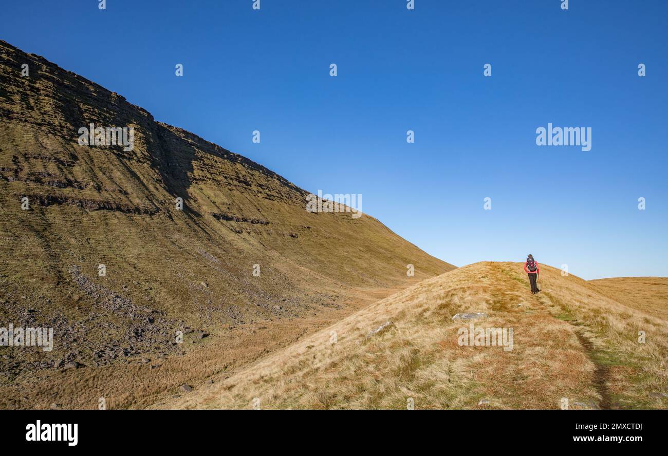Walker ascending the path to Llyn y Fan Fawr beneath the Old Red ...