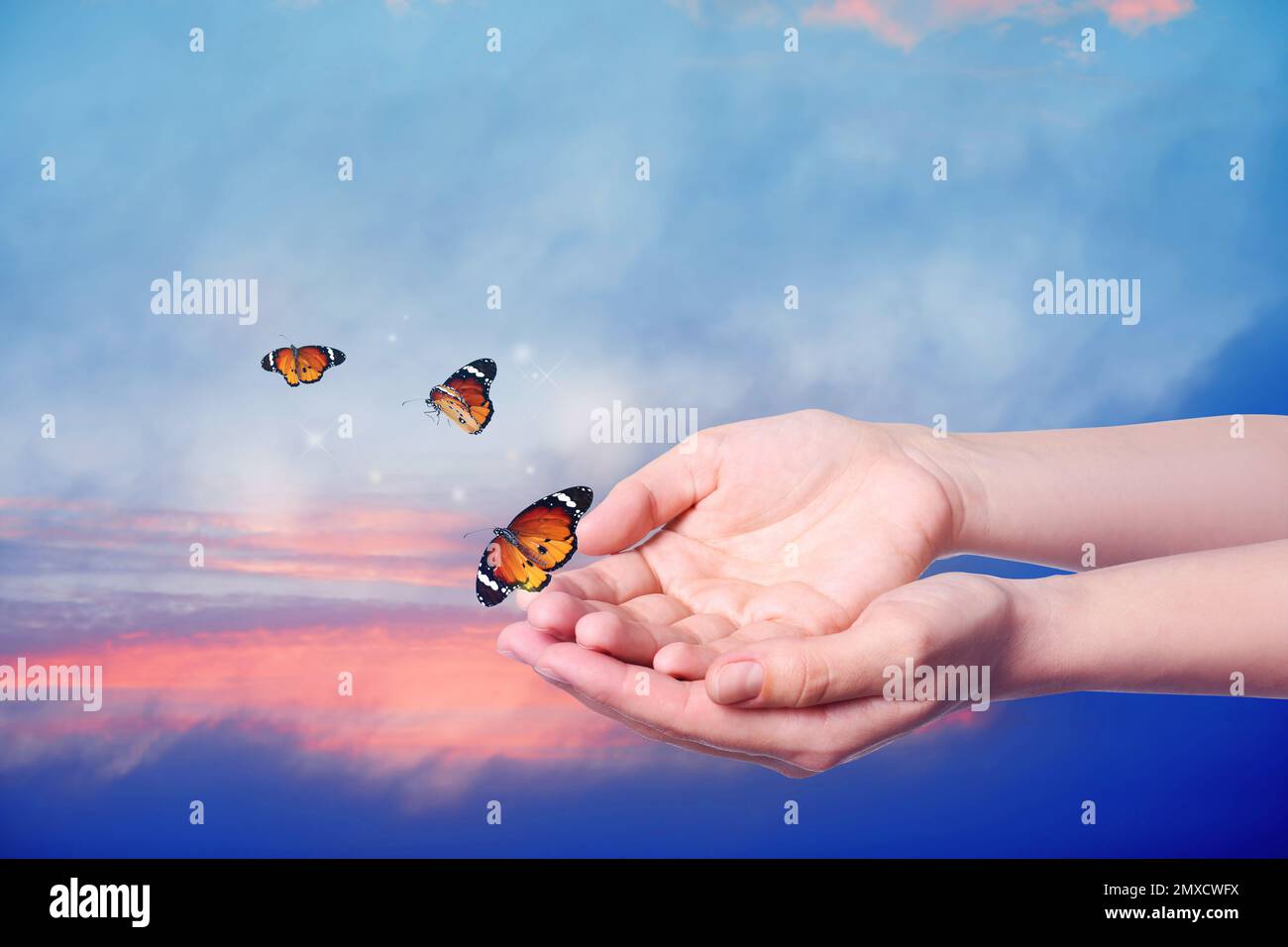 Hands releasing butterflies hi-res stock photography and images - Alamy