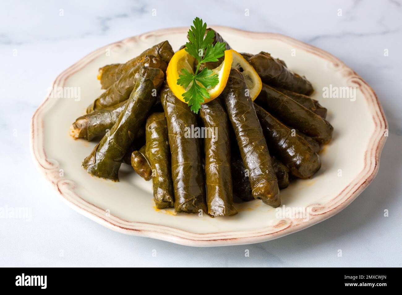 Traditional delicious Turkish foods; stuffed leaves (yaprak sarmasi ...