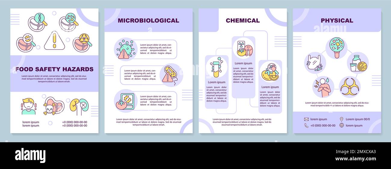Food safety hazards purple brochure template Stock Vector Image & Art ...