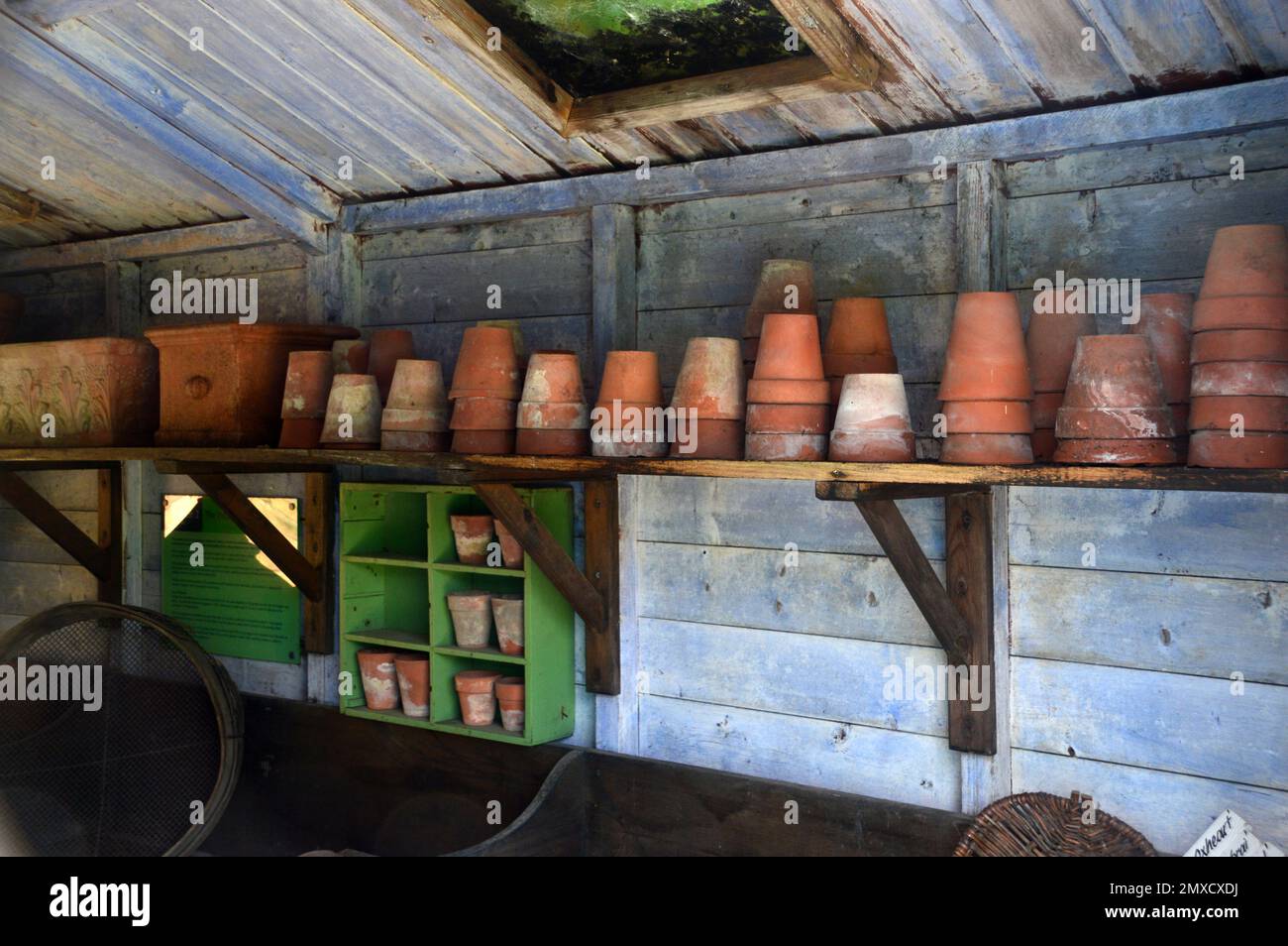 Old Terracotta Flower Pots in the Wooden Garden/Potting Shed Shelf at ...