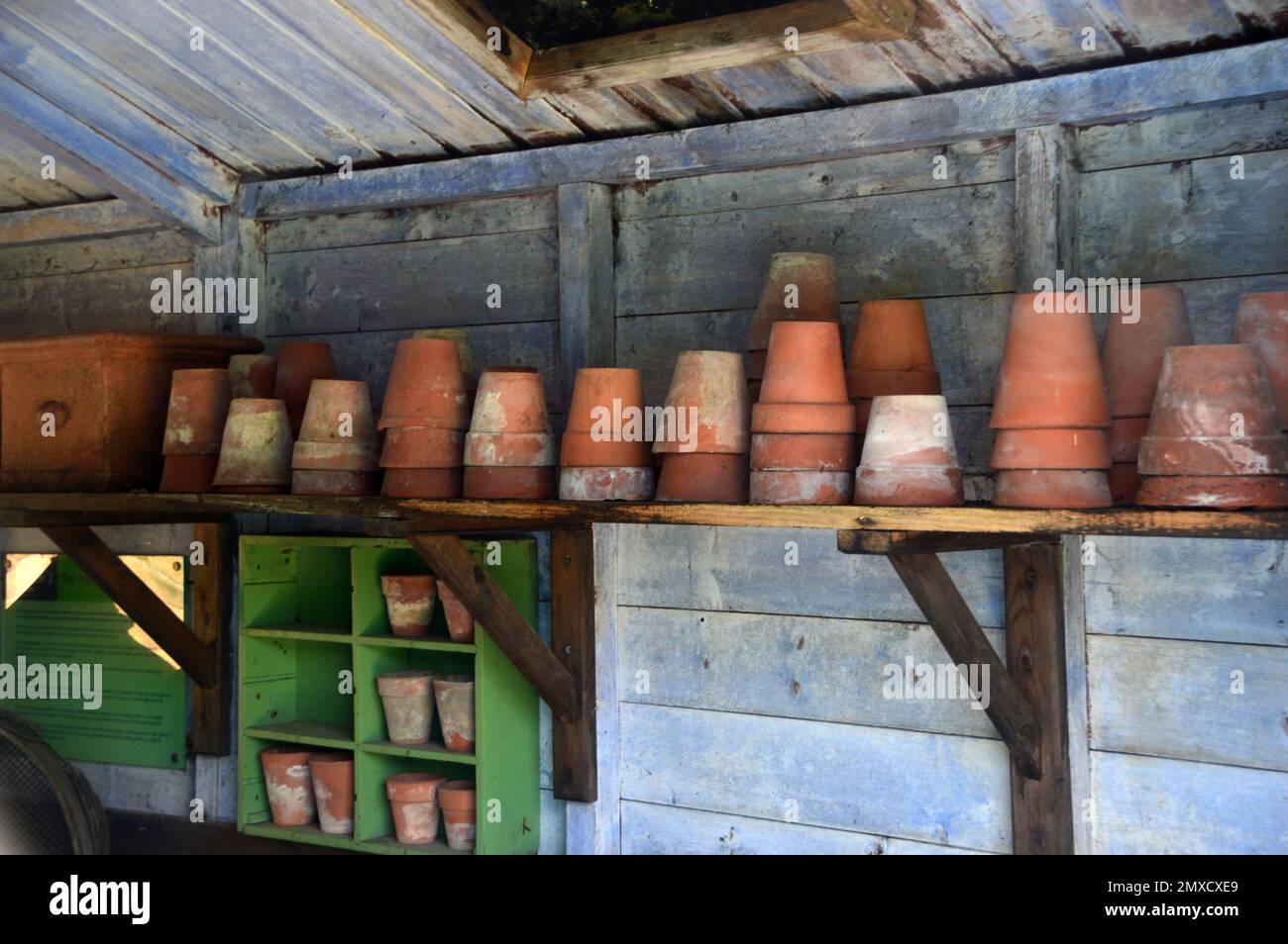 Old Terracotta Flower Pots in the Wooden Garden/Potting Shed Shelf at ...