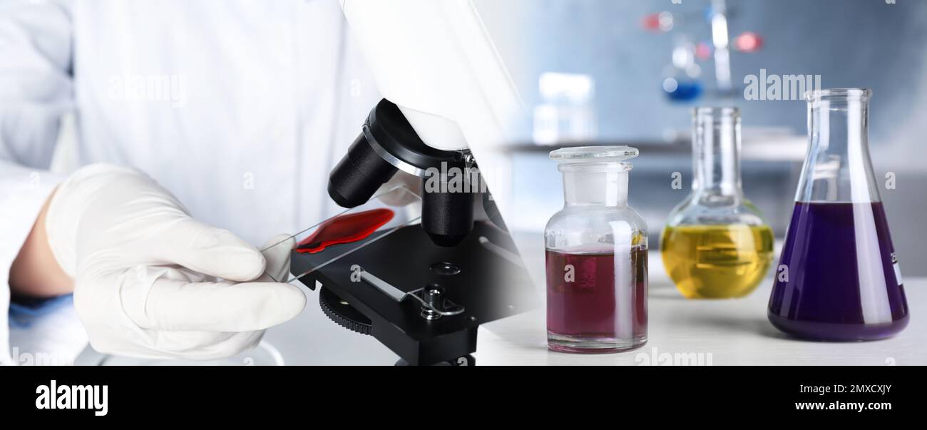 Scientist doing research and analysis in chemical laboratory, closeup ...