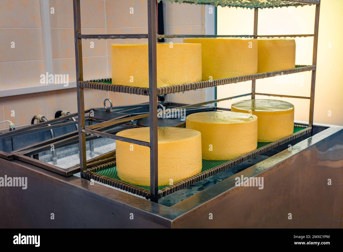 A small family cheese factory in the Carpathian village. Molding press ...