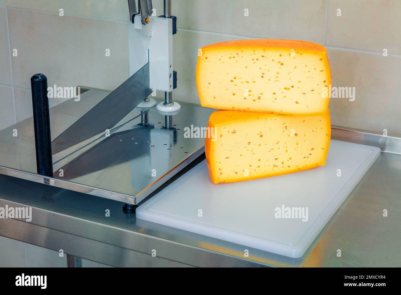 Cut head of cheese on an industrial cutter in a cheese factory. Packing ...