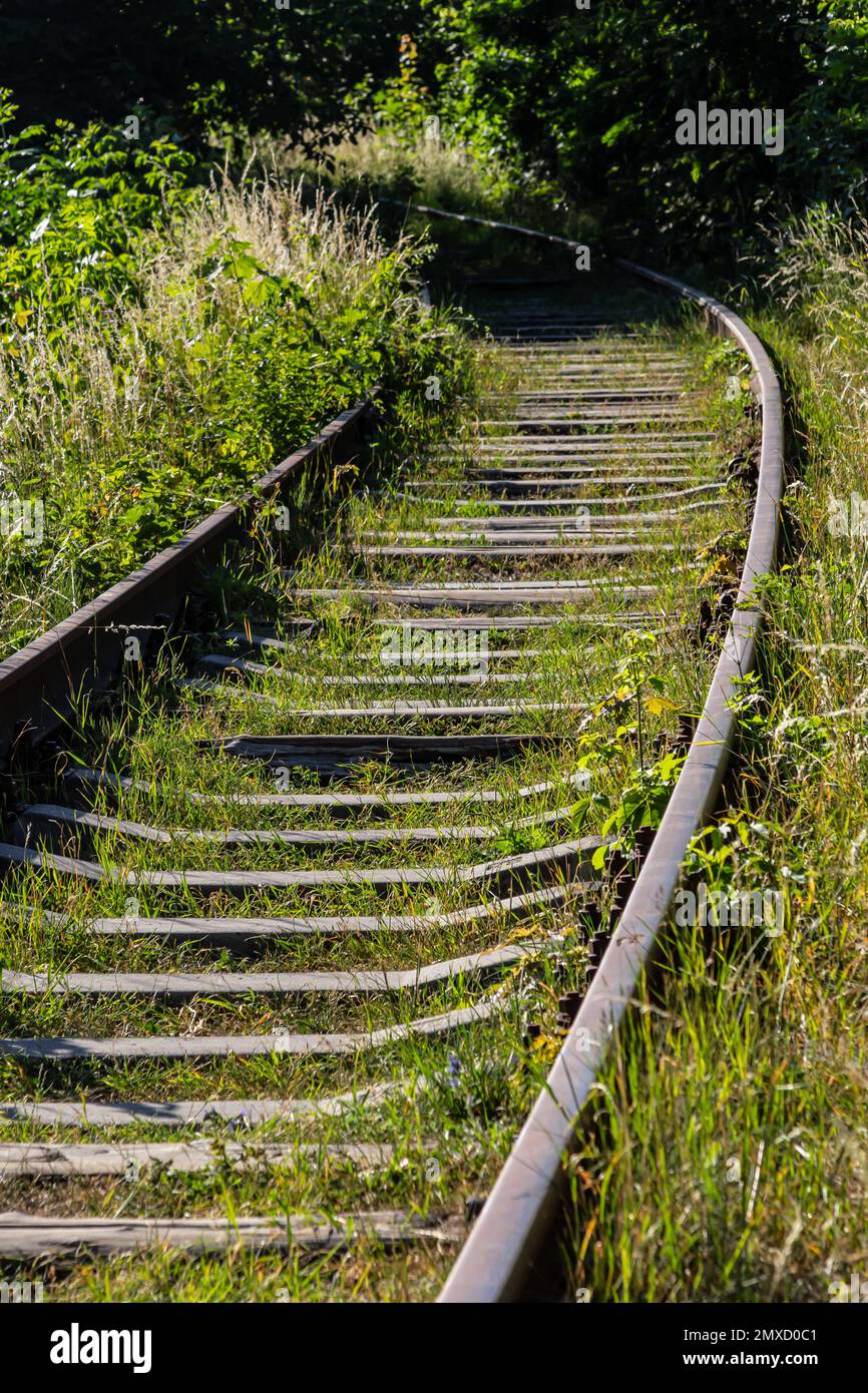 Overgrown railway track hi-res stock photography and images - Alamy