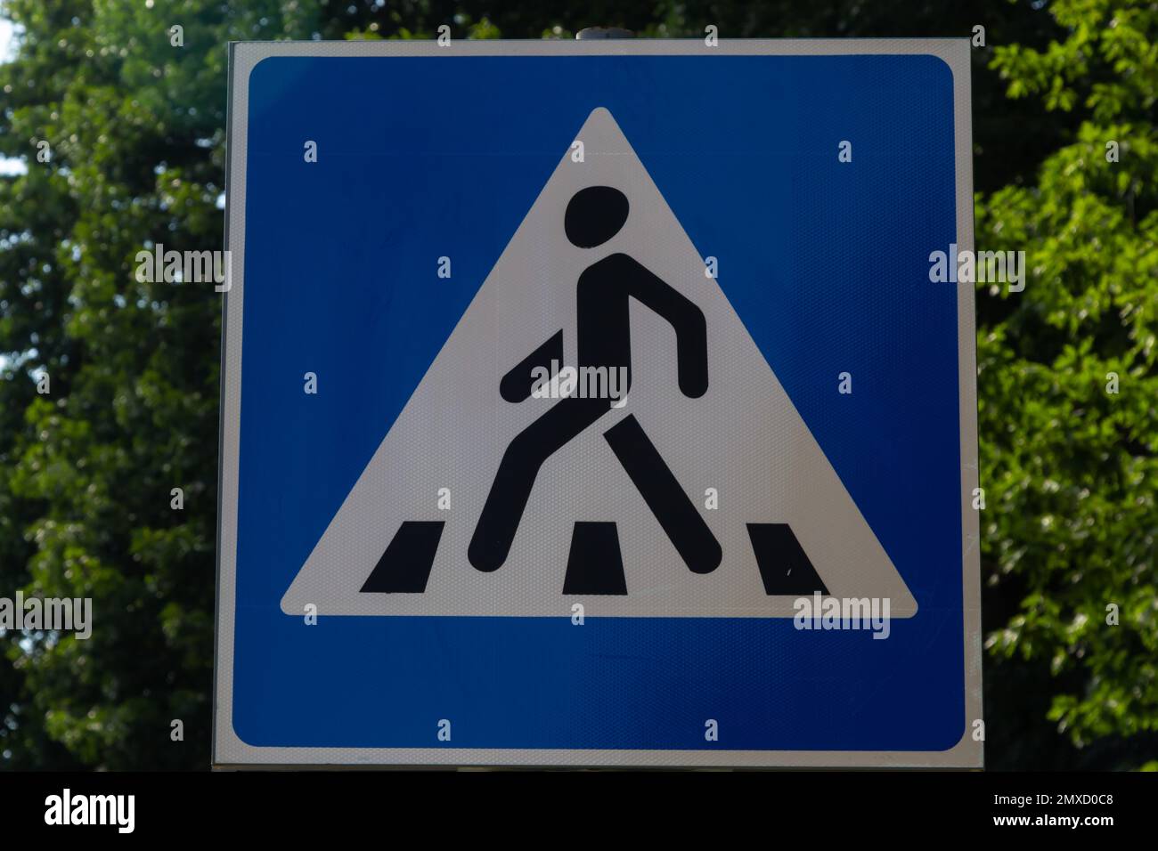 Road sign pedestrian crossing on background of trees Stock Photo - Alamy