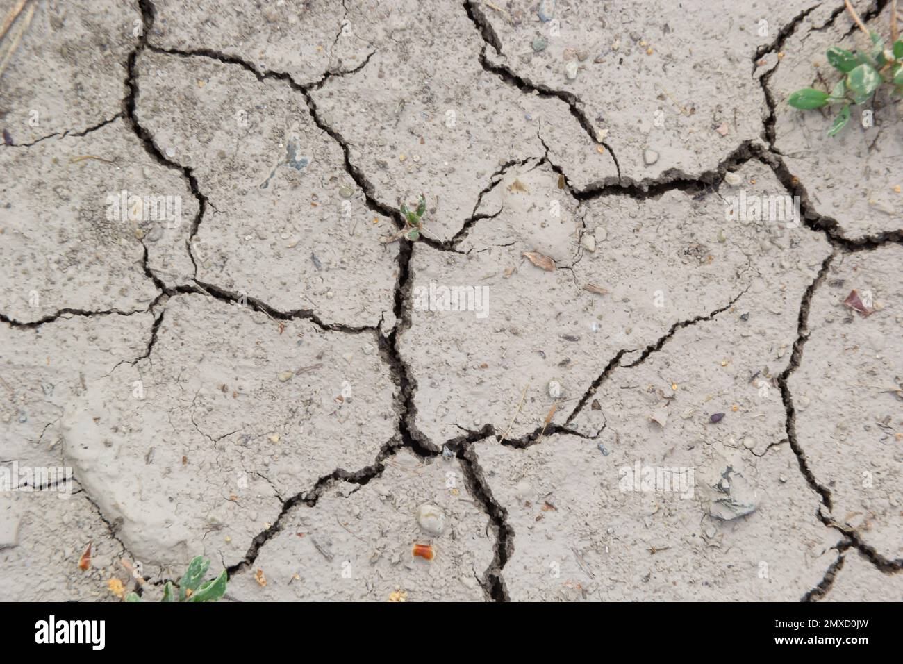 dry land in the dry season Drought, ground cracks, no hot water. Lack ...
