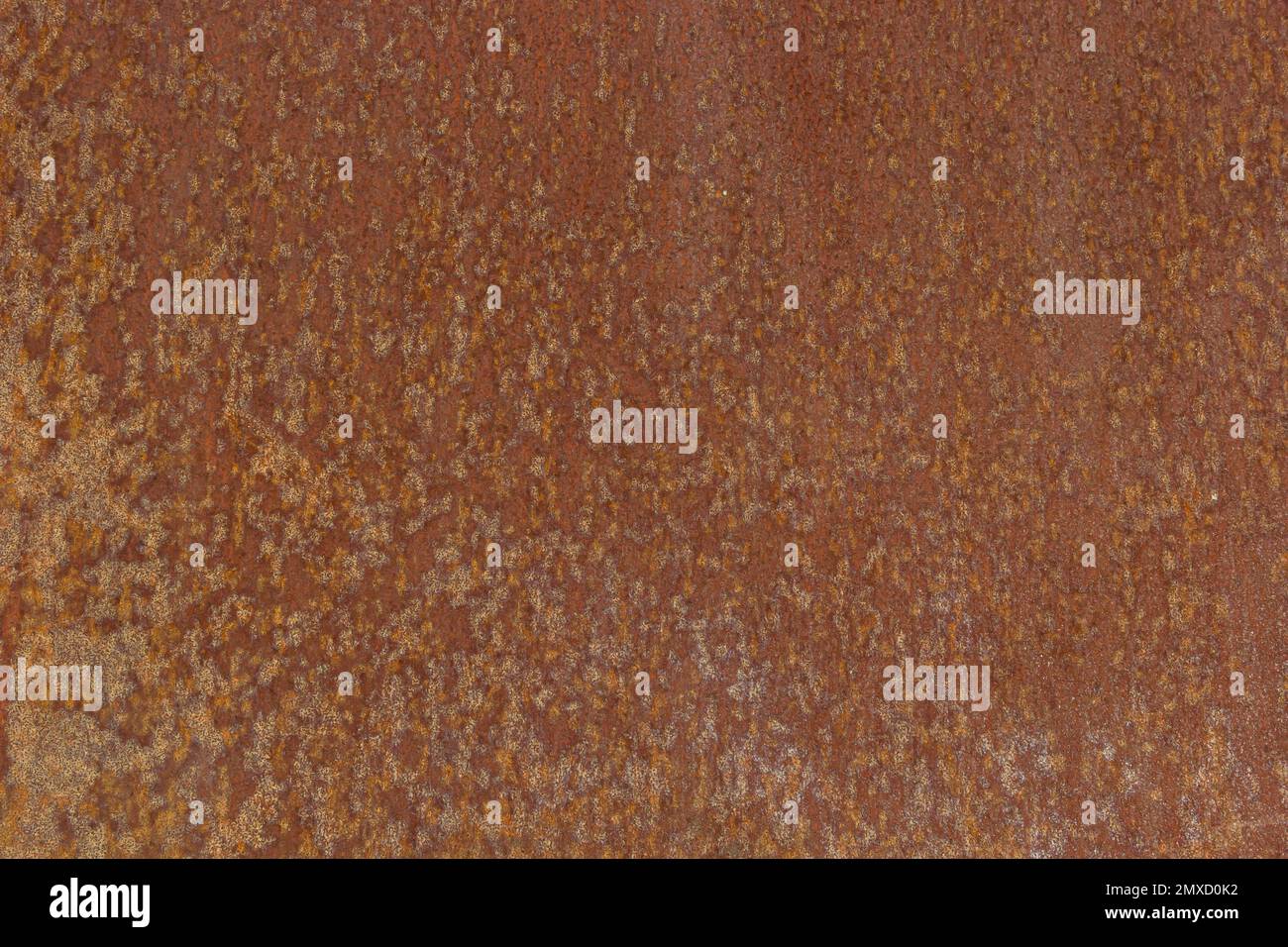 Panoramic grunge rusted metal texture, rust and oxidized metal ...