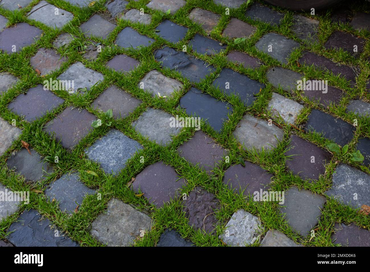 Cobblestone on the road with green grass. Background image on the theme ...