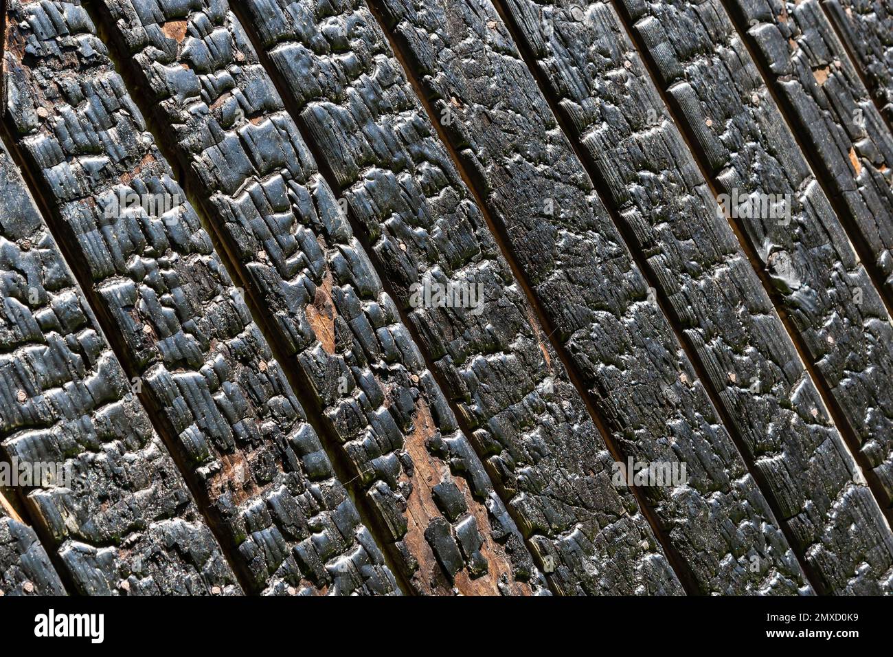 BBQ background. Burnt wooden Board texture. Burned scratched hardwood ...