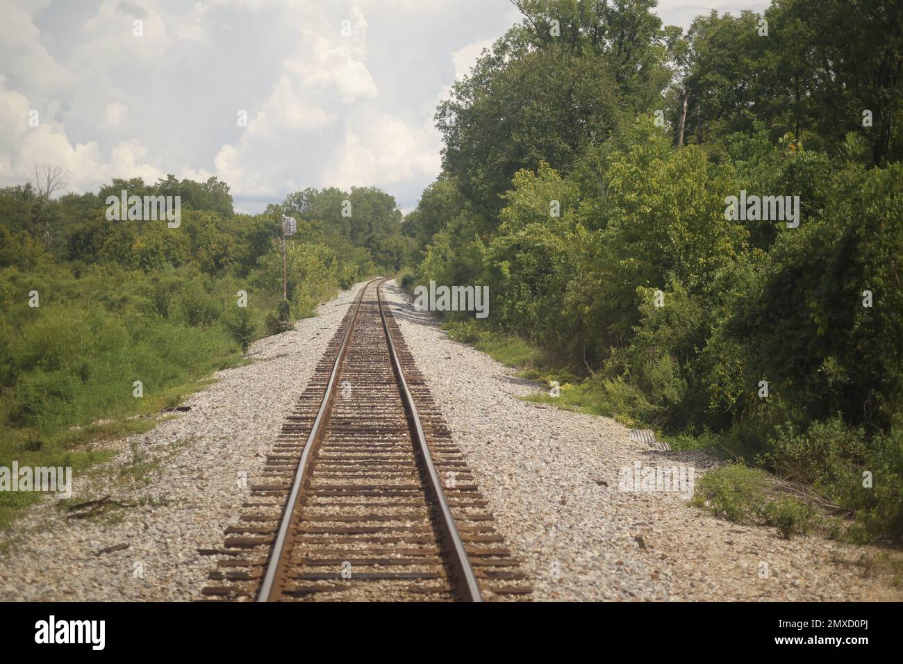 Black forest train hi-res stock photography and images - Alamy