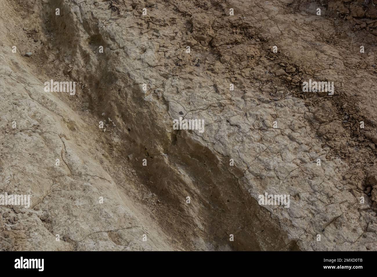 Dirty washed dirt road with traces of water flow in spring. Off-road ...