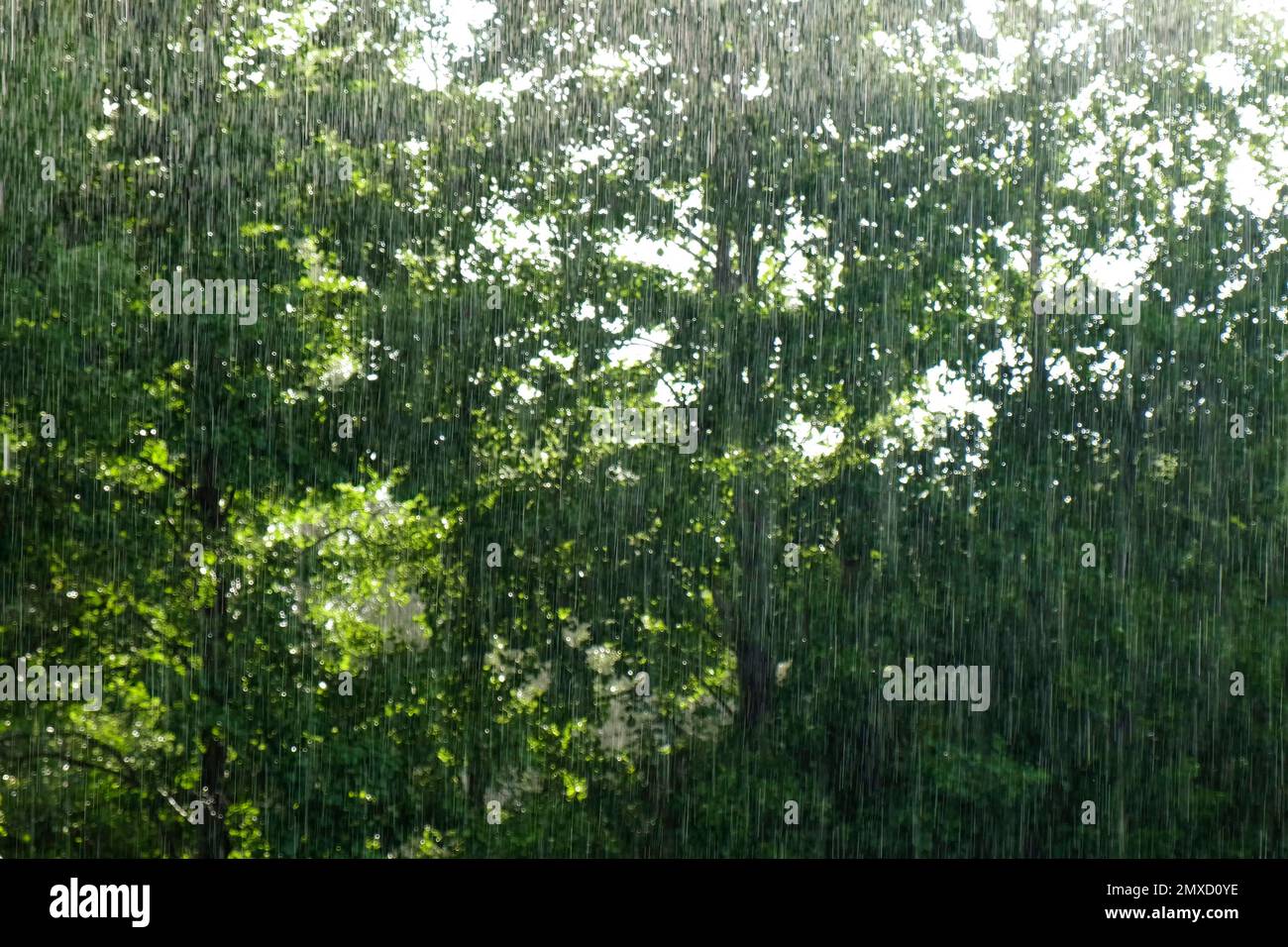 Video summer rainstorm hi-res stock photography and images - Alamy