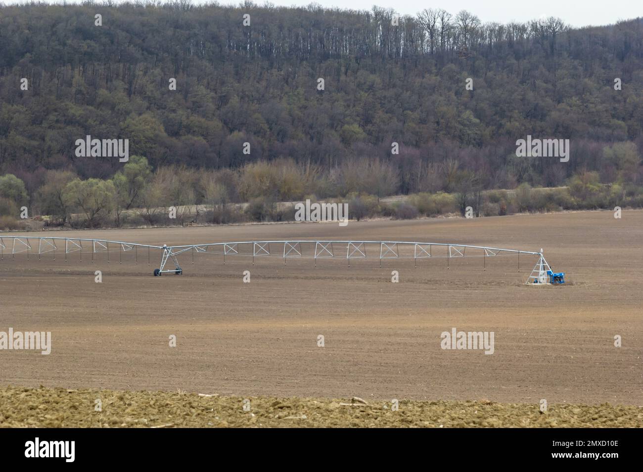 Corn field in spring with irrigation system for water supply ...