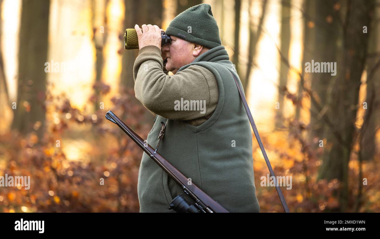 Autumn hunting season, hunter with rifle looking out for some wild ...