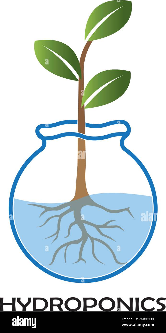 Hydroponic logo vector icon illustration design Stock Vector Image ...