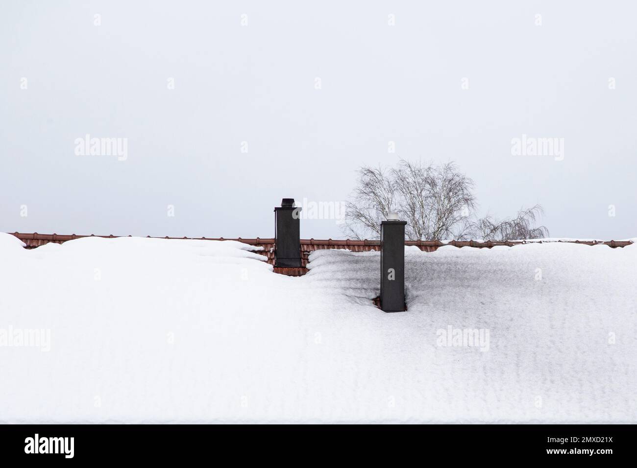 environmental damage, emissions scandal, protection, monoxide, carbon ...