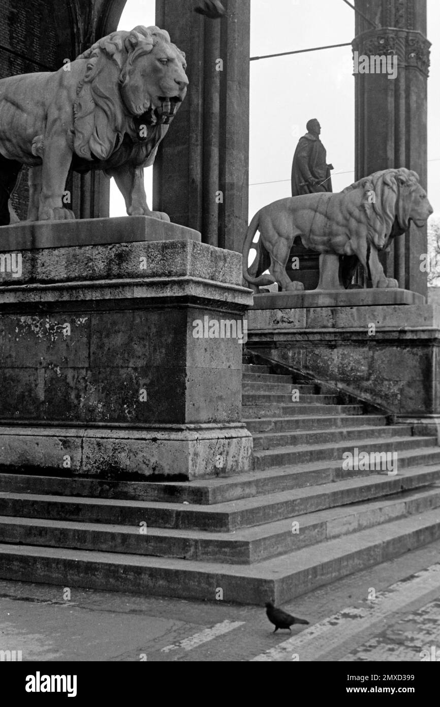 Die Löwen vor der Feldherrnhalle am Odeonsplatz, 1957. The lions of ...