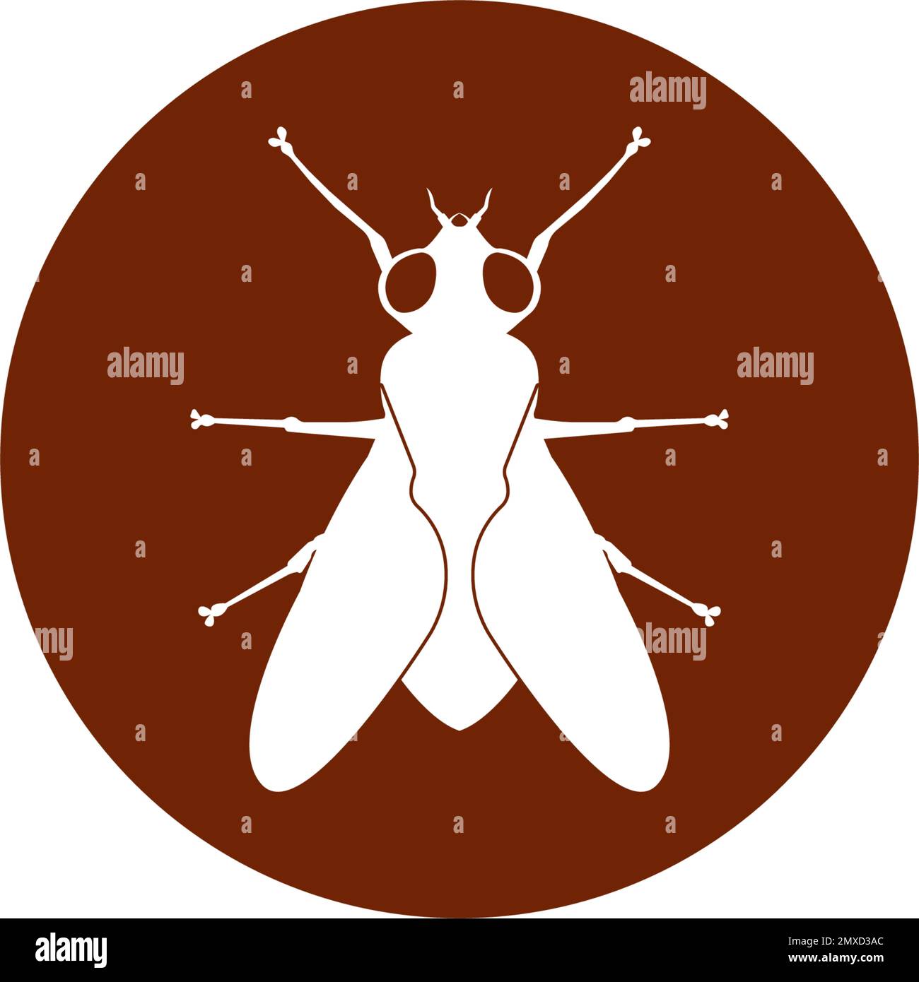 Insect icon vector illustration symbol design. Eps 10 Stock Vector ...