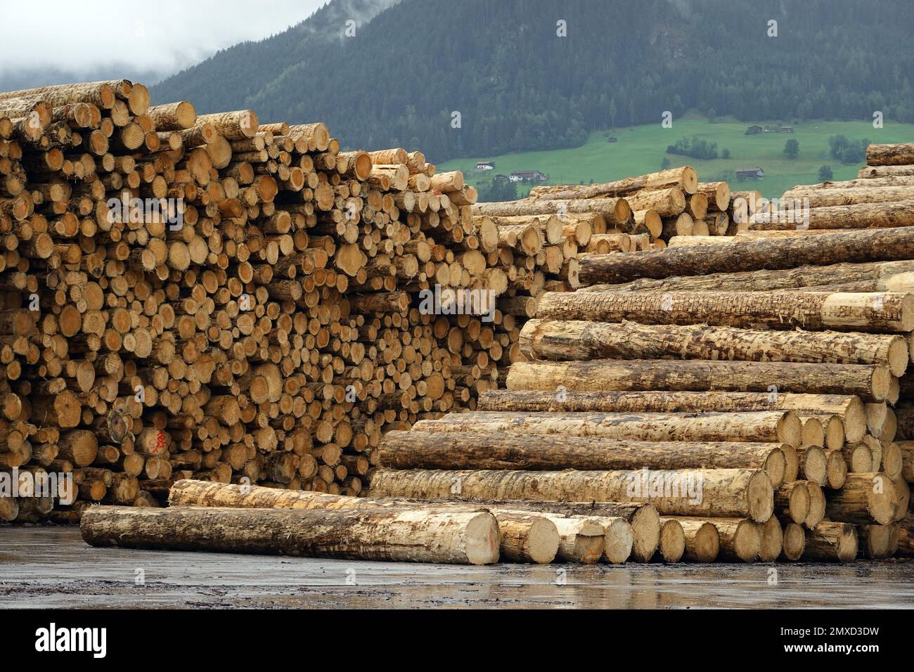 Mill and yards hi-res stock photography and images - Alamy