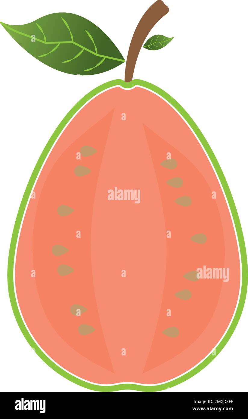 guava icon vector illustration template design Stock Vector Image & Art ...