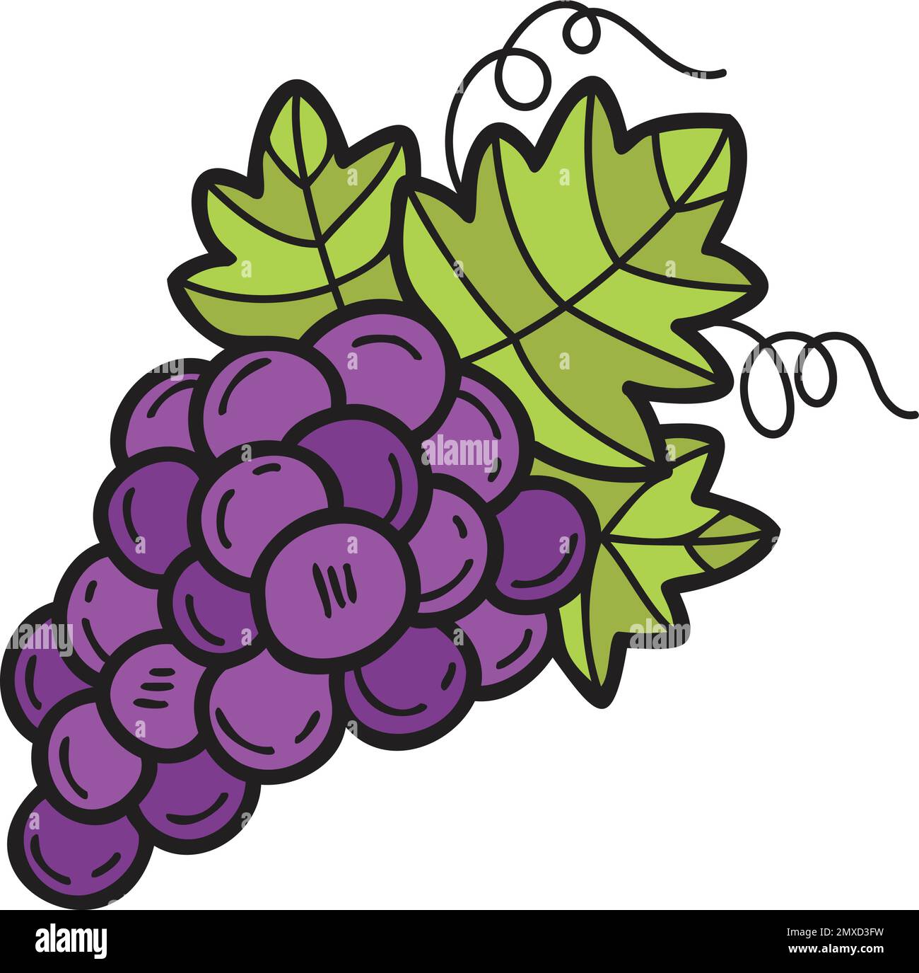 Hand Drawn grape illustration in doodle style isolated on background ...