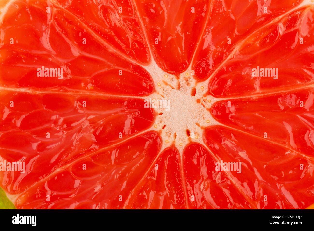 orange (Citrus sinensis), sliced blood orange, fruit flesh Stock Photo ...