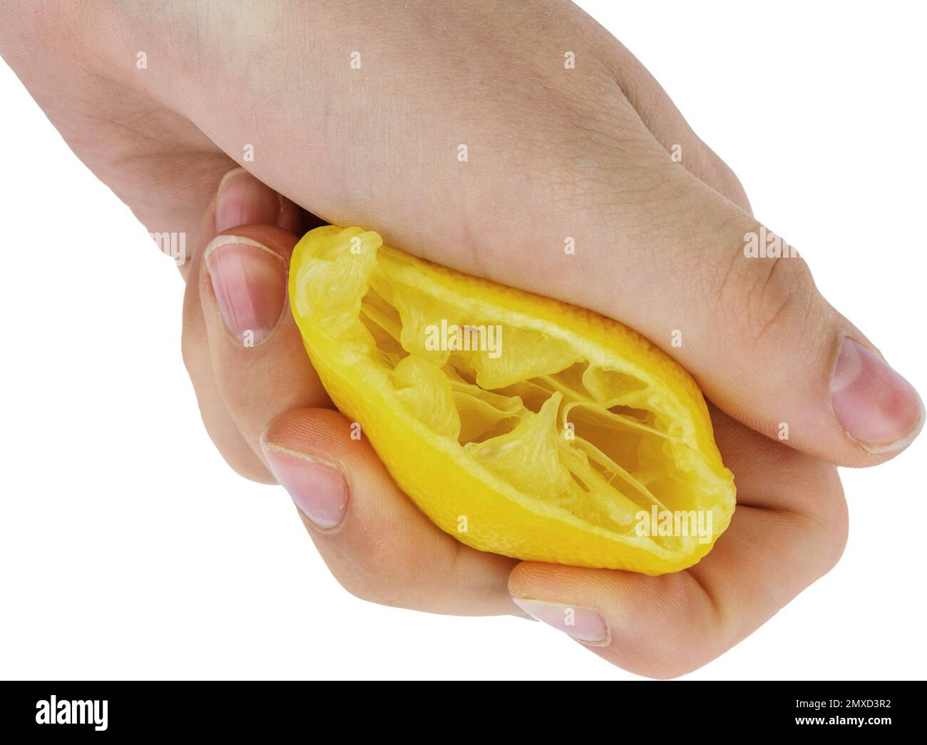 lemon (Citrus limon), is squeezed Stock Photo - Alamy