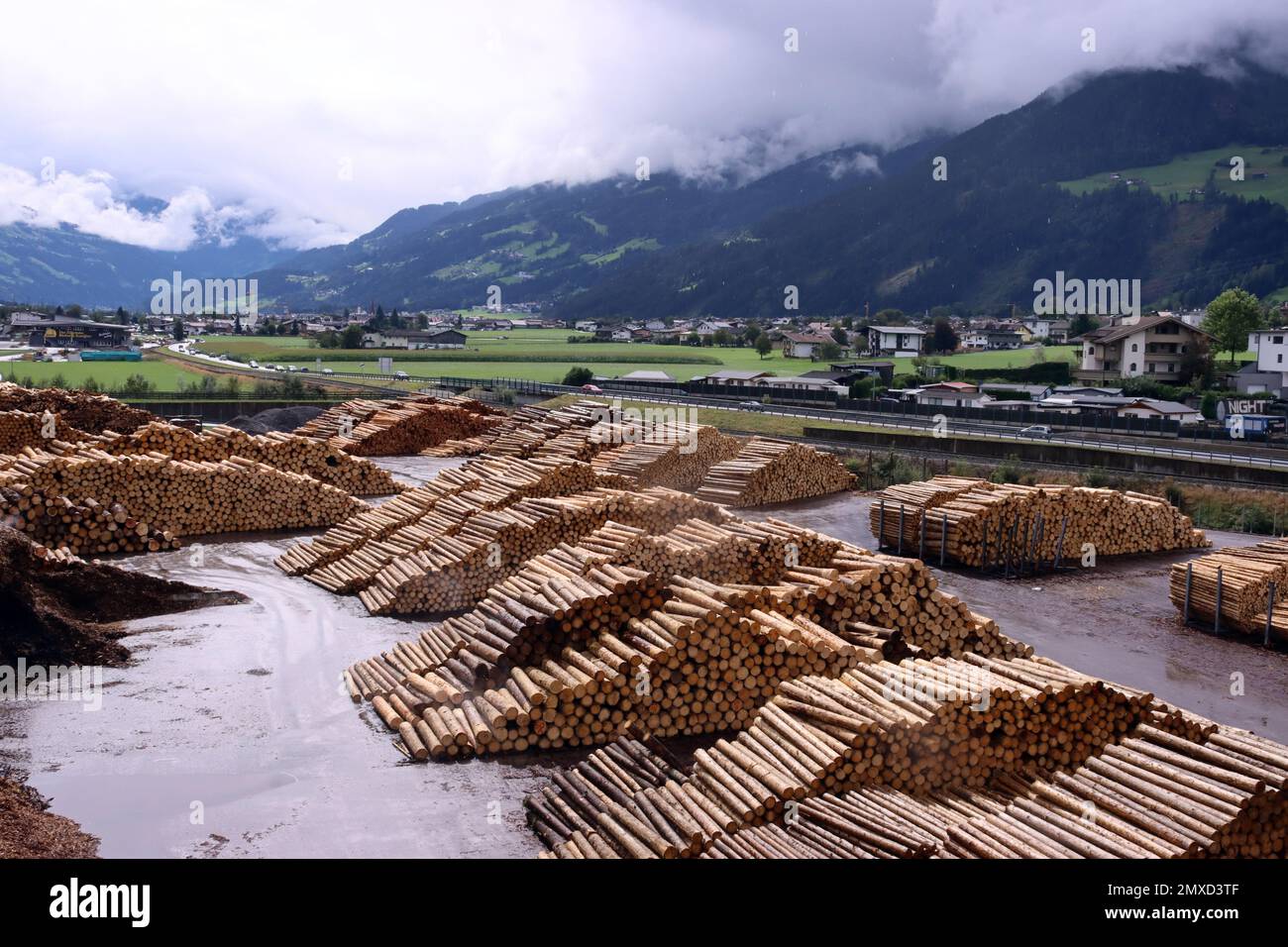 timber yard of a saw mill, Austria, Tyrol Stock Photo - Alamy