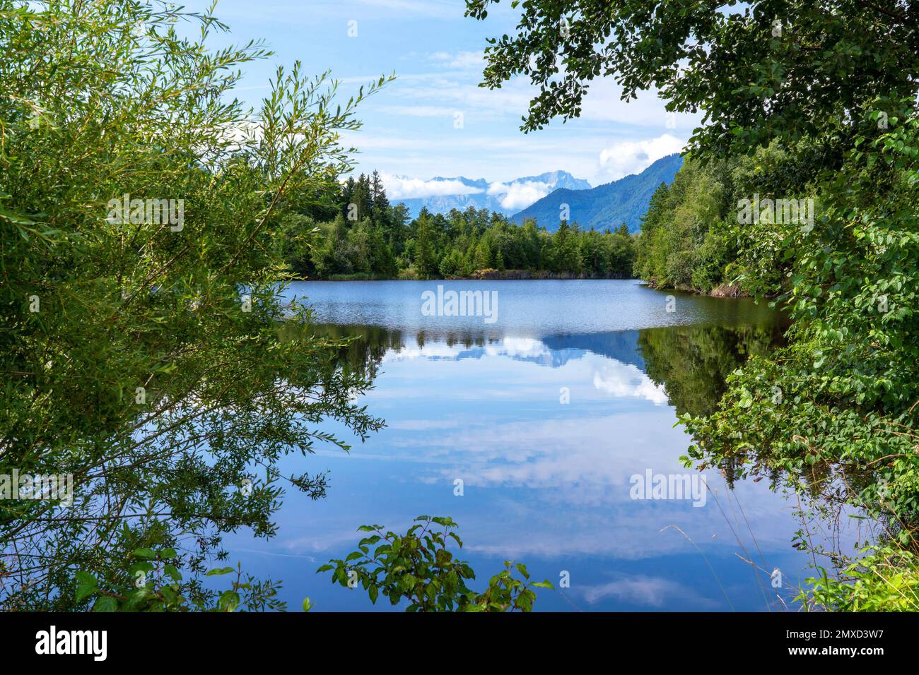lake in the Murnauer Moos, in the background the Wetterstein Mountains ...