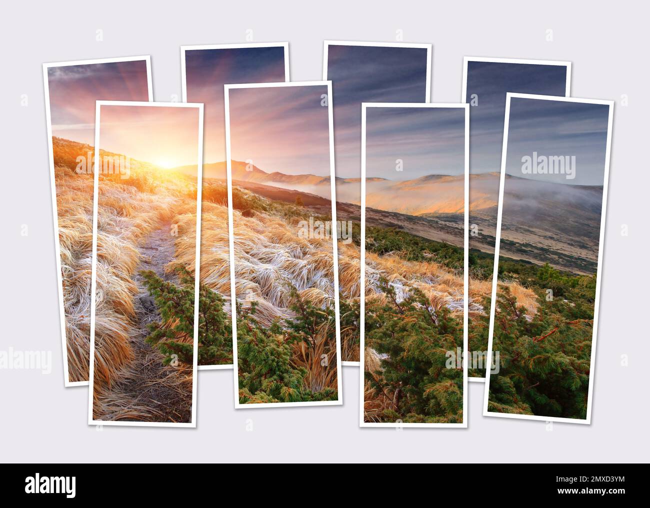 Isolated eight frames collage of picture of frosty morning in ...