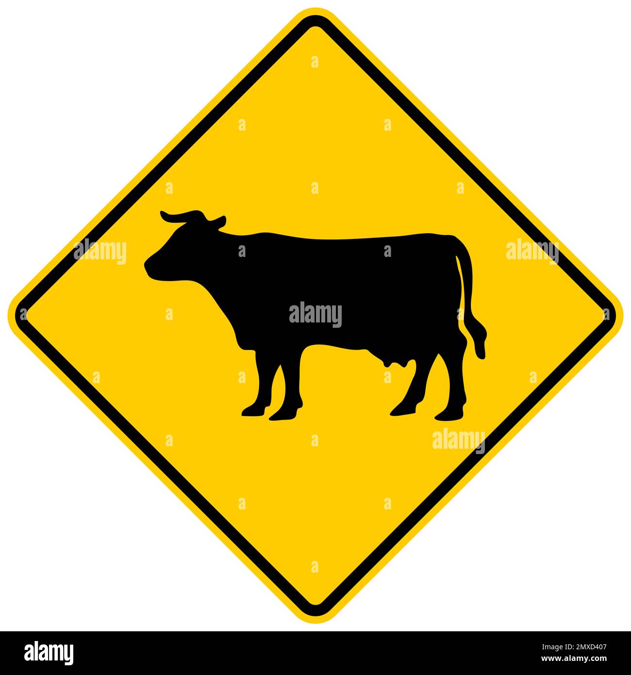 Cattle warning sign Stock Photo - Alamy