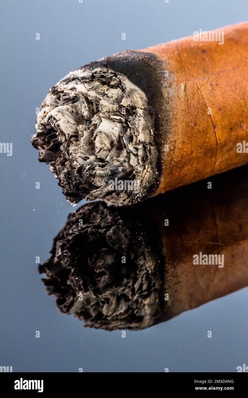 Tobacco section hi-res stock photography and images - Alamy