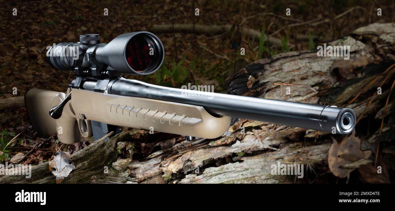 Bolt action hunting rifle with a high powered scope in the woods Stock ...