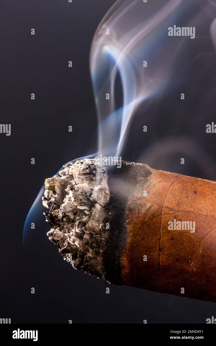 Tobacco section hi-res stock photography and images - Alamy