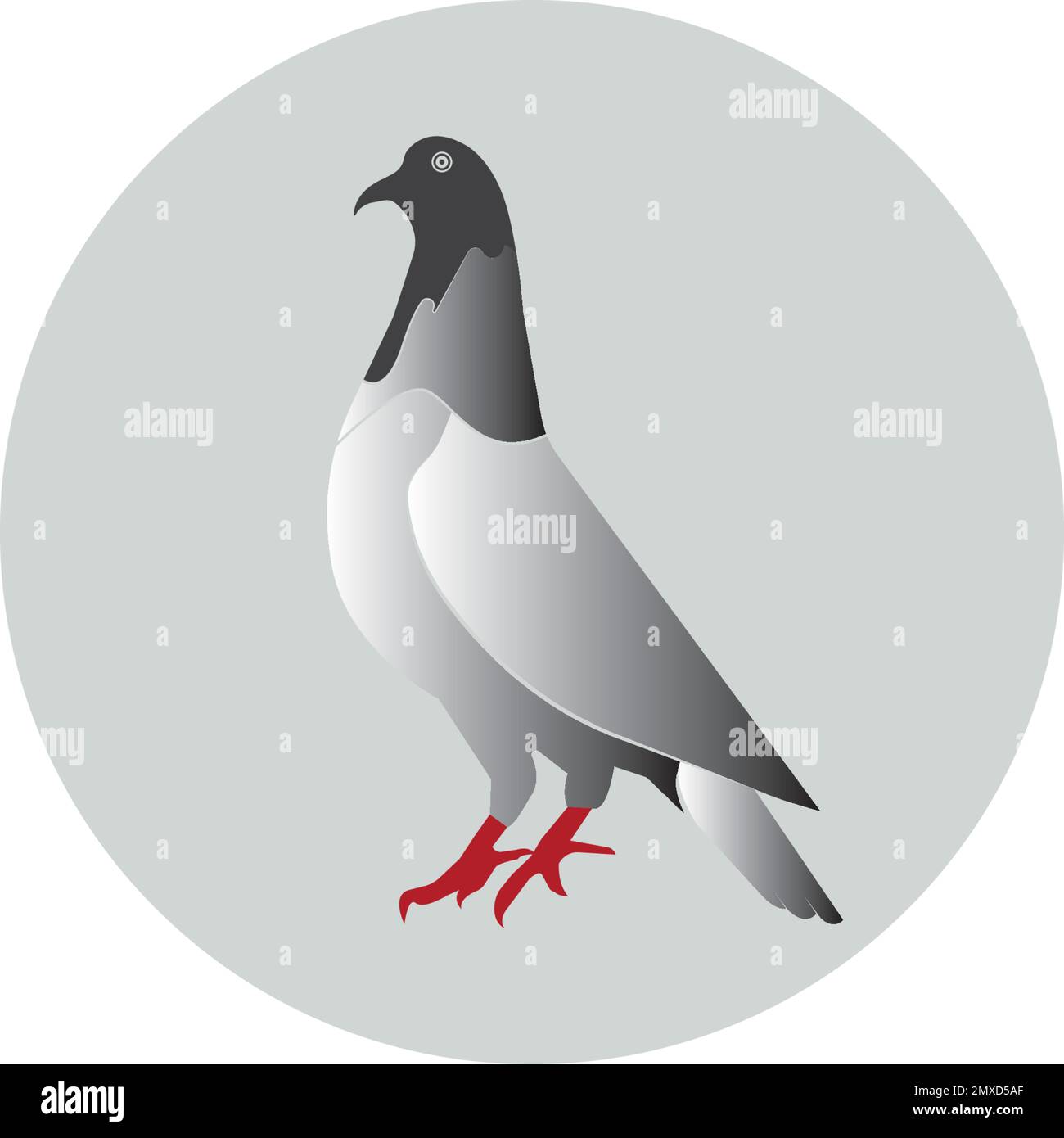 Pigeon Logo Clothing