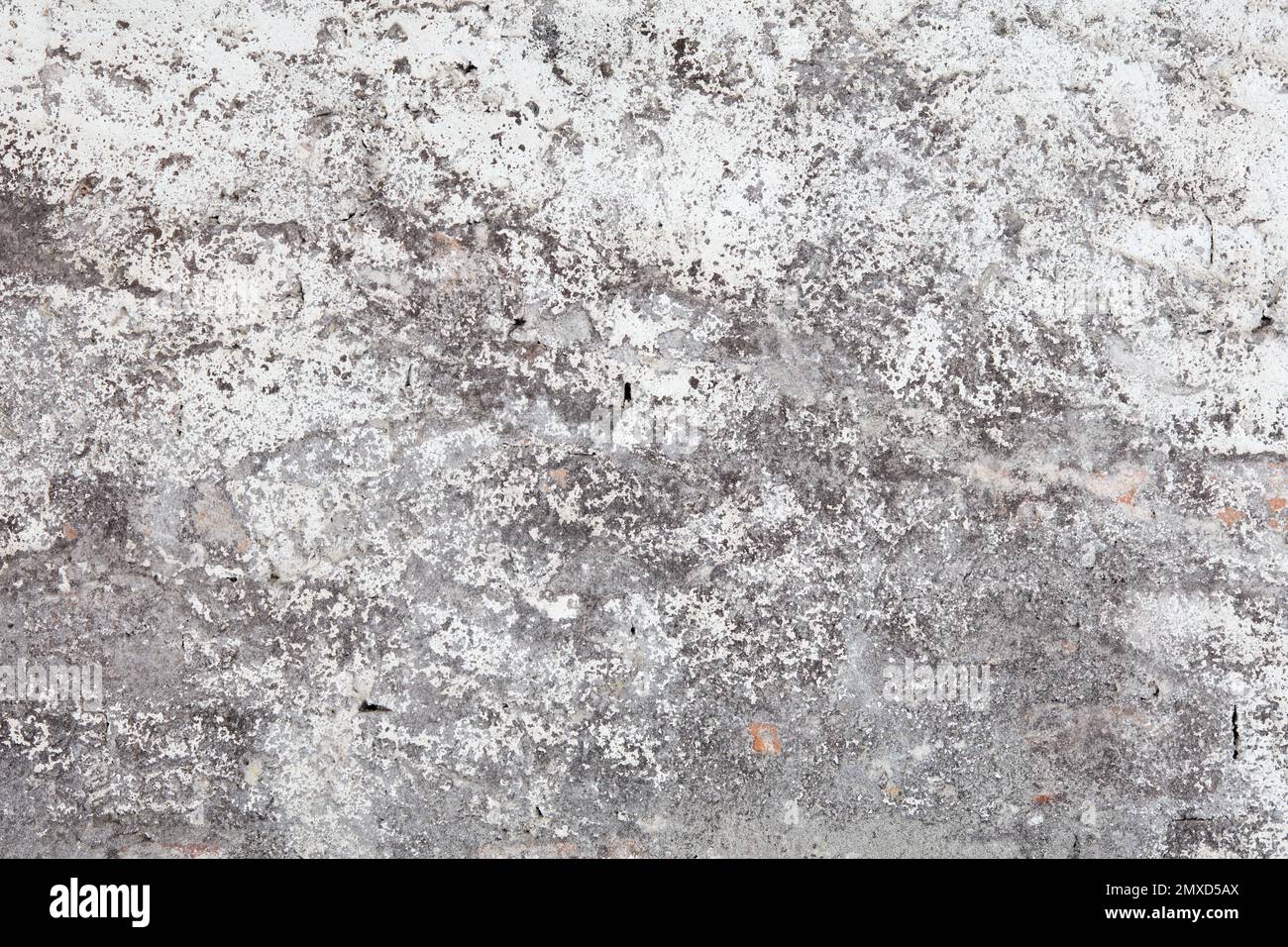 Gray, rough wall texture background Stock Photo - Alamy
