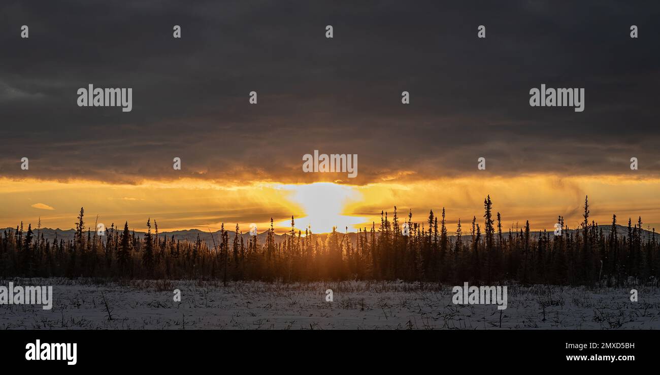 Fairbanks Alaska Sunrise
