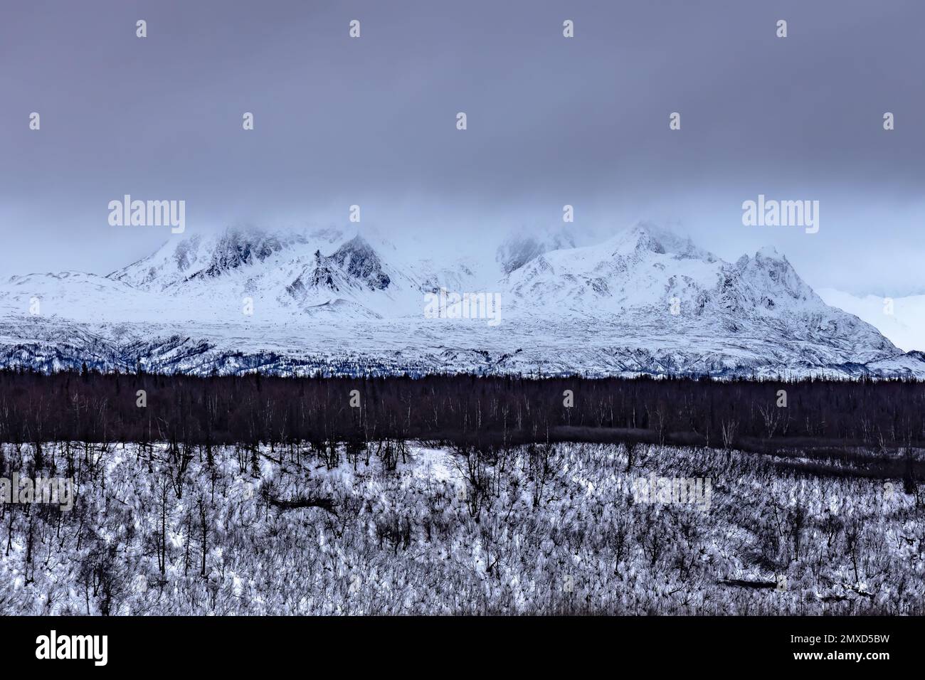 A landscape of icy Mountains Denali in Denali Park snowy trees fog in ...