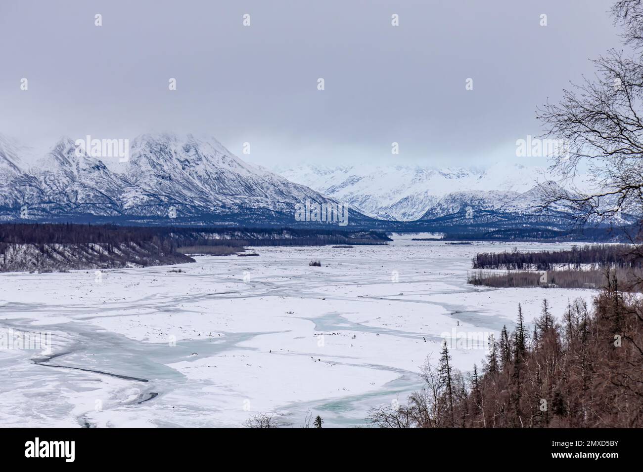 A Landscape of icy Mountains in Denali Park snowy trees by frozen lake ...