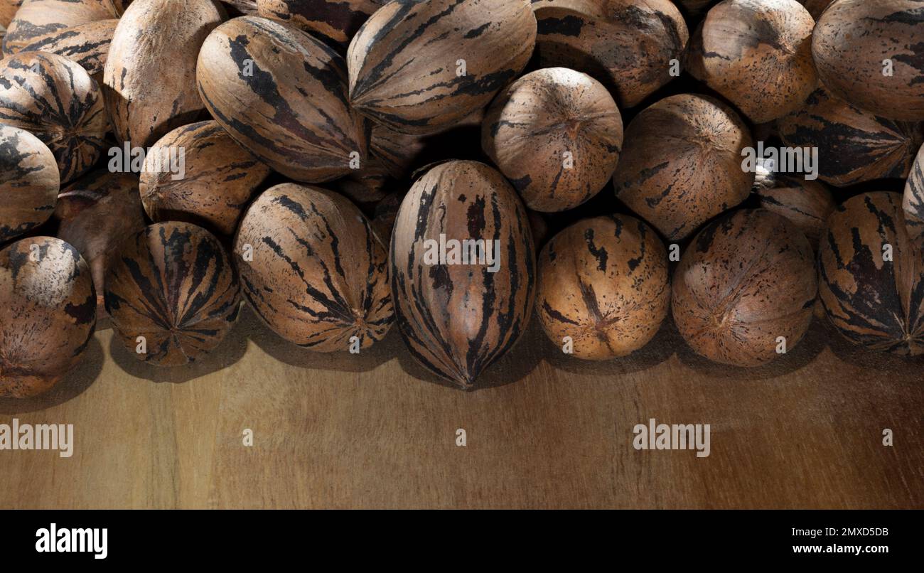 Back lit look at pecans still in their shells Stock Photo - Alamy