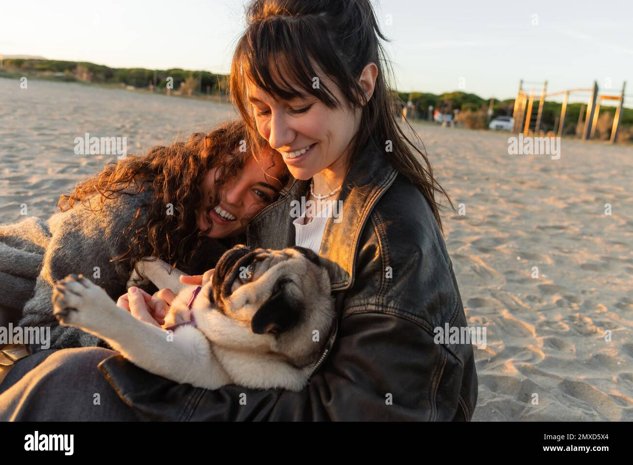 Positive young women playing with pug dog on beach in evening Stock ...