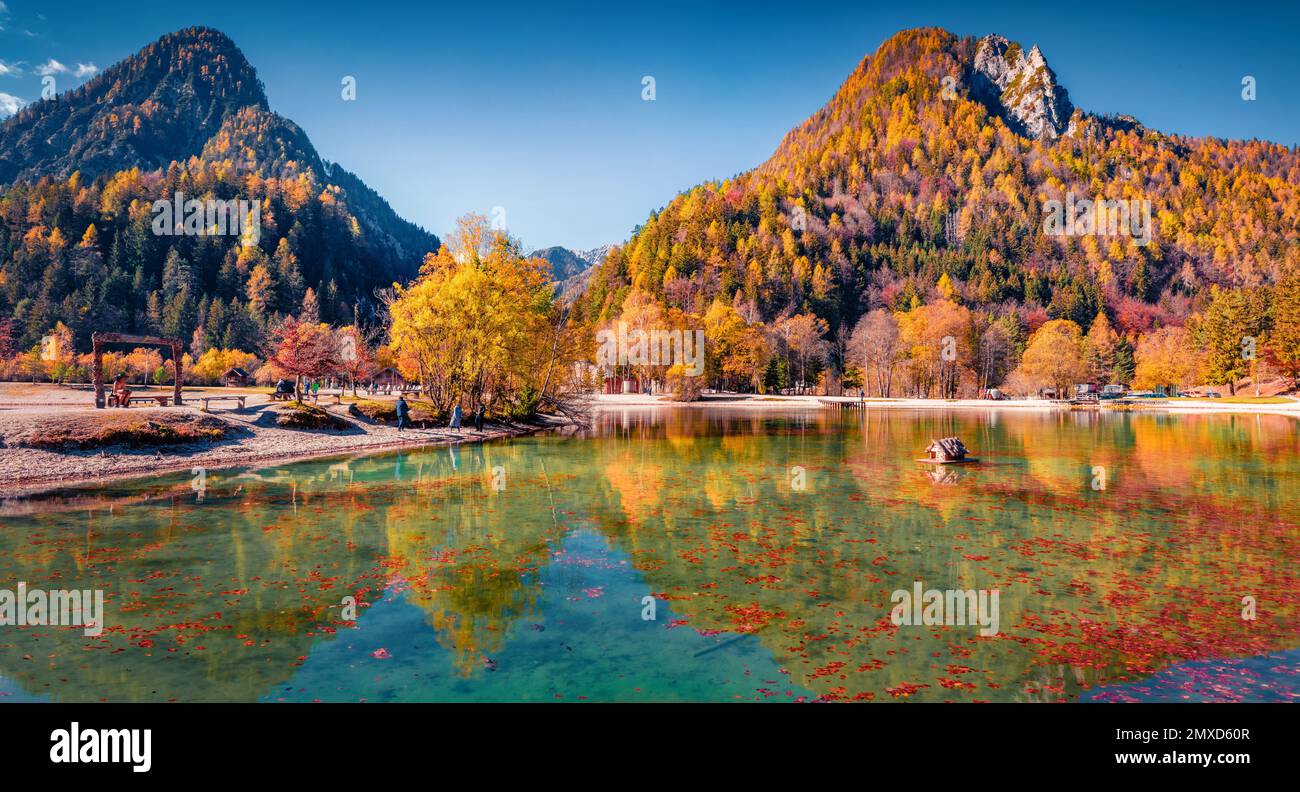 Beautiful autumn scenery. Fallen red beech leaf floats on the calm ...