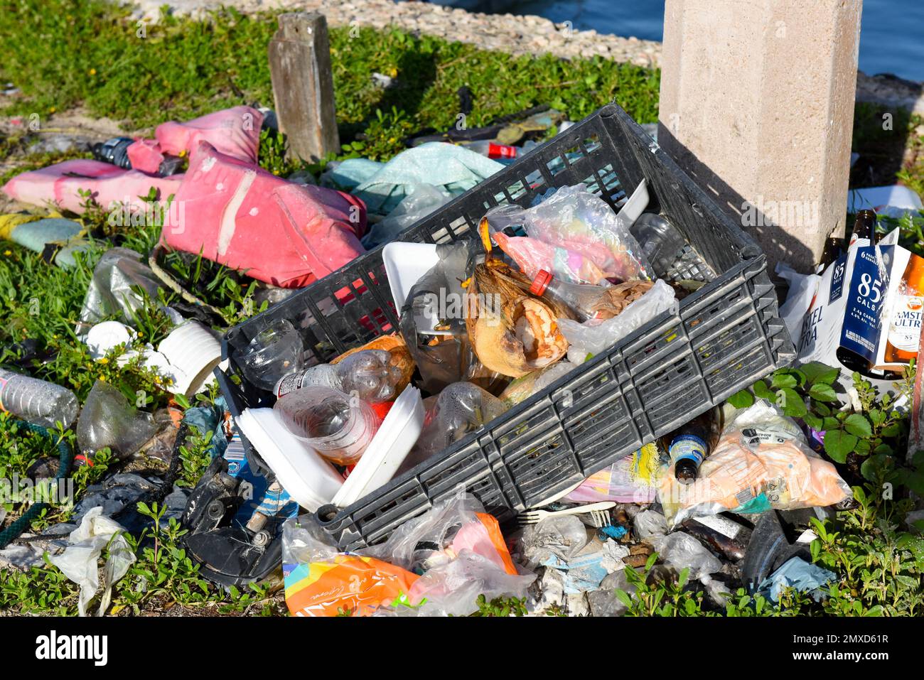 Mexico domestic hi-res stock photography and images - Alamy