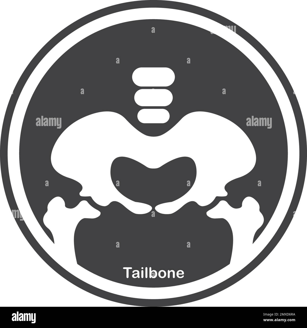 Knee bone color icon Stock Vector Images - Alamy