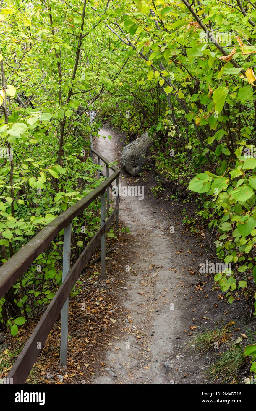 Long trail equipped with gravel steps and wooden handrail for tourists ...